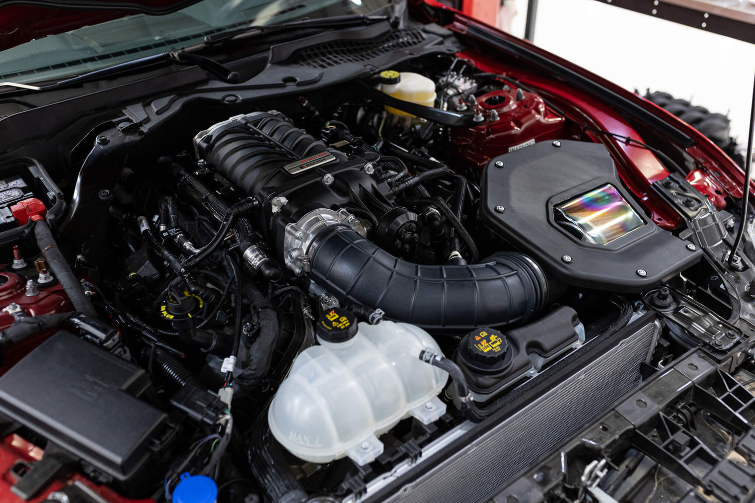 Adam LZ's Mustang RTR Spec 5 - RTR Vehicles