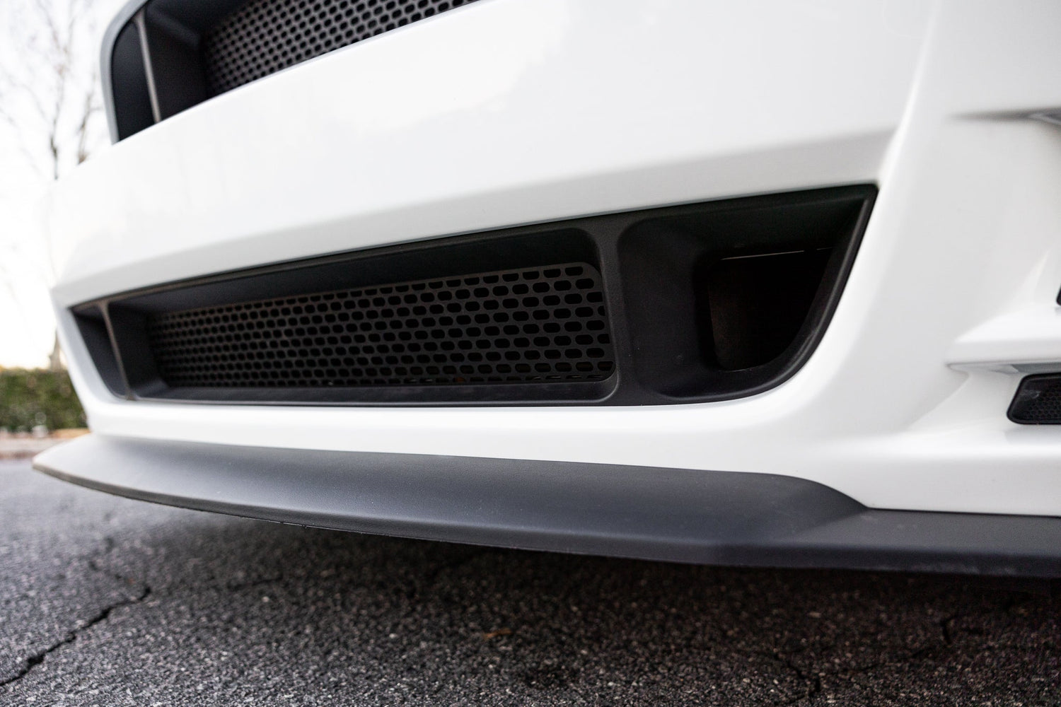 RTR Lower Grille (13-14 Mustang) - RTR Vehicles